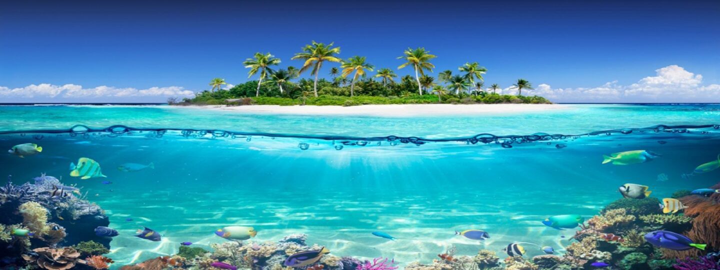 Διακοπές στις Σεϋχέλλες | Cosmoplan International Travel